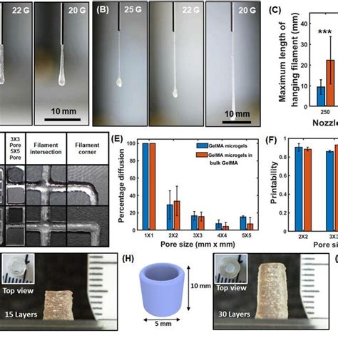 Filament Length Fusion And Printability Tests For Multiple Bioinks Download Scientific
