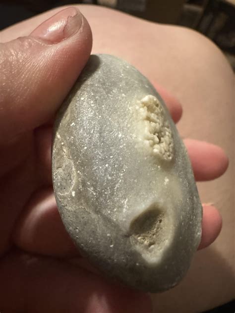 Could This Be A Fossil R Fossilid