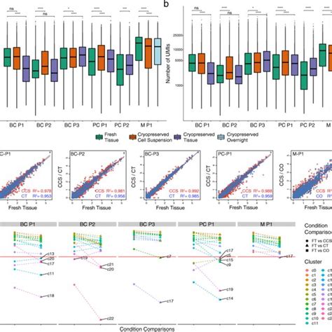 Cryopreservation Maintains The Integrity And Complexity Of Single Cell