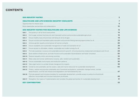Sdg Matrix Healthcare Ppt