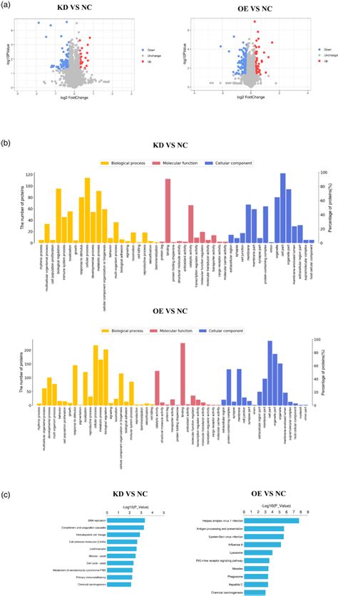 A Volcano Plot B Statistical Histogram Of Significantly Enriched