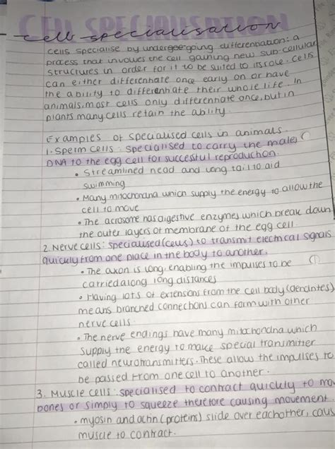 Gcse Biology Revision Notes Cell Specialisation