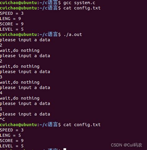 进程——system函数 使用system创建进程 csdn博客