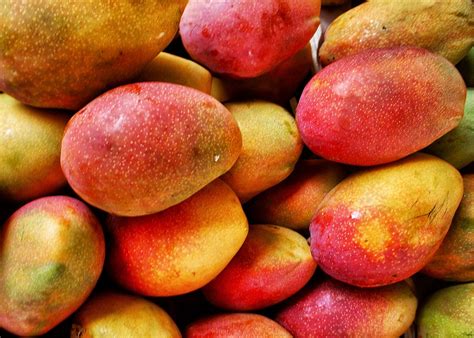 Mango Mangue The Mango Is A Fleshy Stone Fruit Belongin Flickr