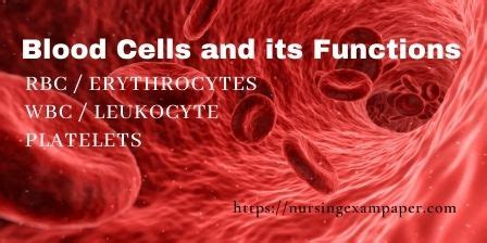 Blood Cells And Its Functions Nursing Exam Paper