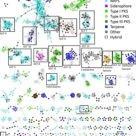 Big Scape Sequence Similarity Network Ssn And Nocobactin Like Download Scientific Diagram