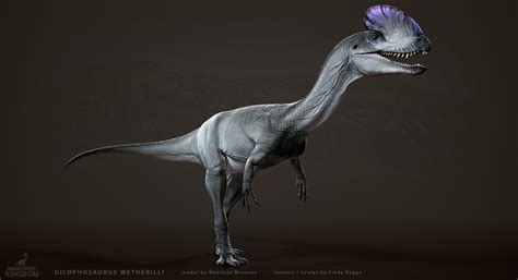 Cindy Raggo Prehistoric Kingdom Dilophosaurus Wetherilli