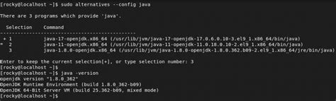 How To Install And Configure Open Jdk And Oracle Jdk On Rocky Linux