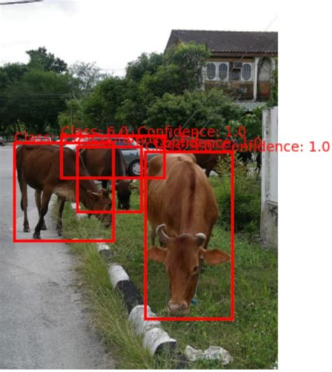 Applying Transformation To Bounding Boxes Is Not Producing Proper