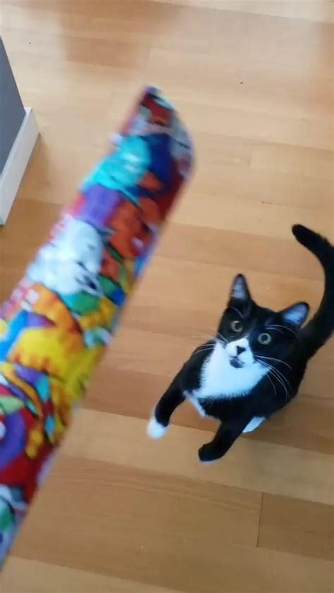 Pin On Catnip Kickers From Kitty Kick Stix