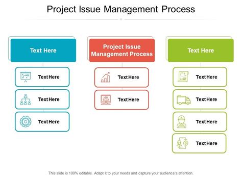 Project Issue Management Process Ppt Powerpoint Presentation Slides