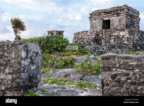 Templo Del Dios Viento Temple Of The Wind Tulum Maya Archaeological