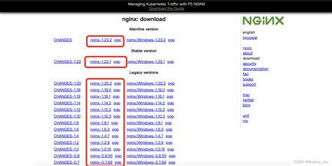 nginx安装与配置详解：从入门到实战 csdn博客