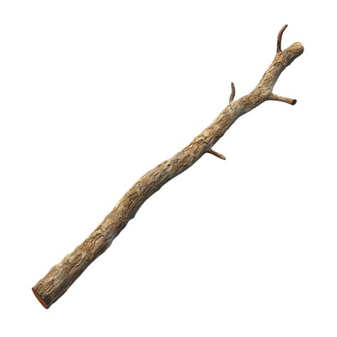 Stick With No Leaves On Transparent Background AI Generative 48479673 PNG