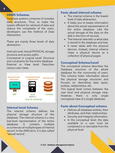 dbms schemas facts about internal schema it 313 database management