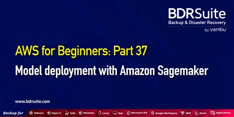 Model Deployment With Amazon Sagemaker Bdrsuite