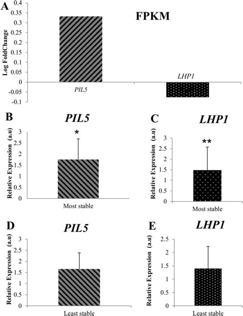 Relative Expression Data Versus FPKM Data In Mature Leaf 7th Time Download Scientific Diagram