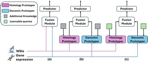 논문 리뷰 Adaptive Prototype Learning for Multimodal Cancer Survival Analysis