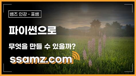 쌤즈 인강 파이썬 언어를 사용하는 이유 5가지 코딩 강의 파이썬 Youtube