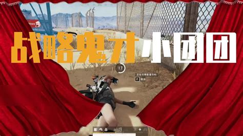 一条小团团OvO 战略鬼才小团团 YouTube