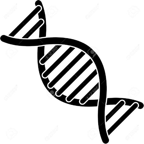 Dna Vector Free At Getdrawings Free Download
