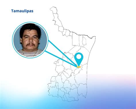 Narcomapa De México ¿en Qué Estados Se Ubican Los Cárteles De Droga