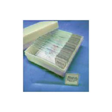 Elementary Microscope Kit Supertek Scientific