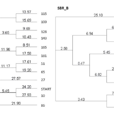 Dendrograms Created With Neighbor Joining Clustering With Dice