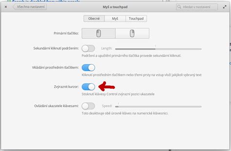 Highlight Cursor Setting Makes Ctrl Remove Focus From Input Issue Elementary Switchboard