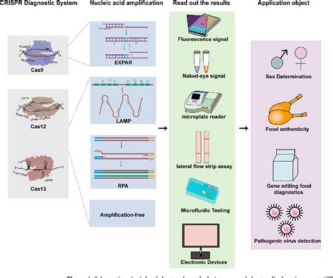 Figure From Development Of CRISPR Mediated Nucleic Acid Detection Technologies And Their