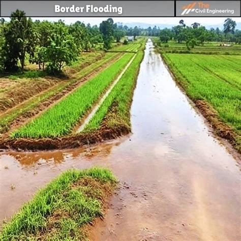 Flooding Irrigation 2 Types Of Flooding Irrigation Wild Flooding Controlled Flooding Basin