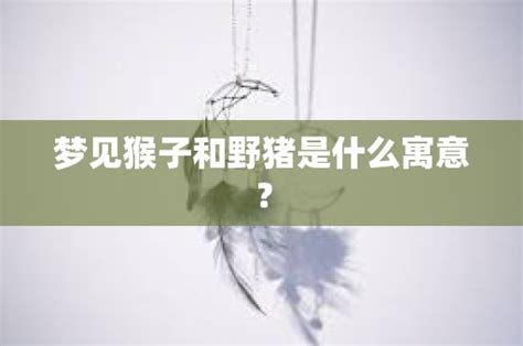梦见猴子和野猪是什么寓意 命理解梦