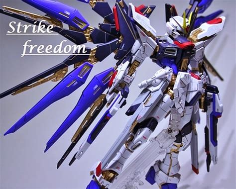 Custom Build Mg 1100 Strike Freedom Gundam
