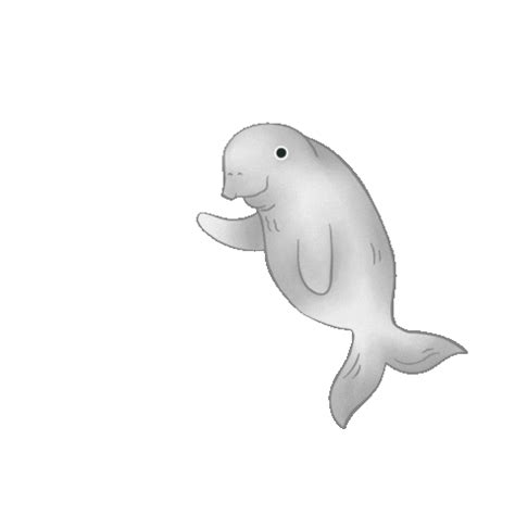 Dewgong 