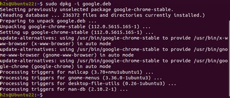 在 Ubuntu Linux上安装Chrome浏览器的最佳方式 LinuxStory