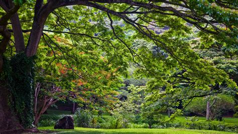 Allerton And Mcbryde Gardens Kauai Go Hawaii
