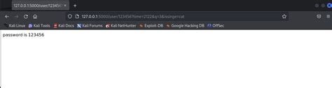 Python武器库开发 Flask篇之get与post二十五