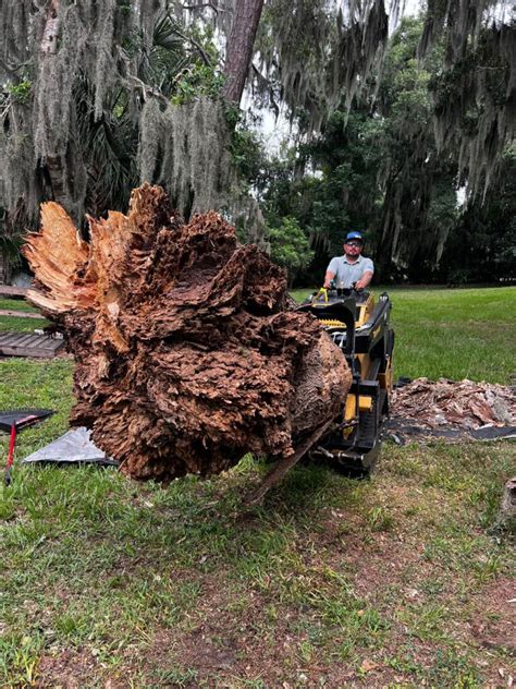 Gallery JT S TREE REMOVAL