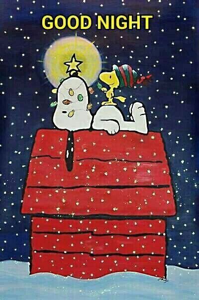 Good Night Charlie Brown Christmas Snoopy Peanuts Christmas