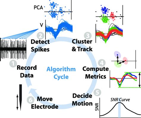 Diagram Of The Control Algorithm Cycle Depicting The Key Data Involved