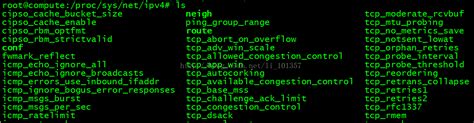 linux下 proc sys net ipv4 详解 默认值为0 0代表禁止数据包转发 1代表允许转发 csdn博客