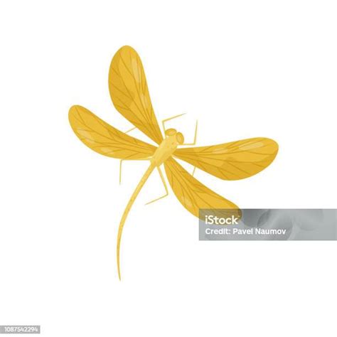 밝은 노란색 날개와 긴 몸 아름 다운 잠자리 작은 빠른 비행 곤충 평면 벡터 디자인 곤충에 대한 스톡 벡터 아트 및 기타 이미지 곤충 귀여운 날기 Istock