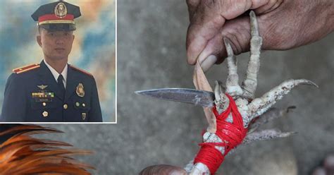 Police Officer Killed By Rooster As He Breaks Up A Cockfight