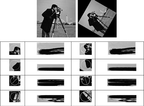 Rotation Invariant Feature Lines Transform For Image Matching