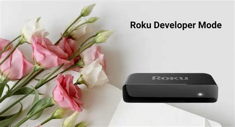 A Full Guide To Enable And Use Roku Developer Mode In 2024
