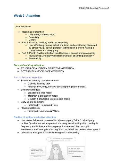 Psyu2246 Wk 3 Lecture Notes Week 3 Attention Lecture Outline