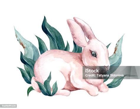 귀여운 토끼가 있는 수채화 그림 흰색 배경에 격리 손 클립 아트 0명에 대한 스톡 벡터 아트 및 기타 이미지 0명 가축 공휴일 Istock