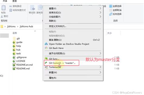 基于git图形化工具tortoisegit在gitee上进行代码托管与协作开发tortoisegit Gitee Csdn博客