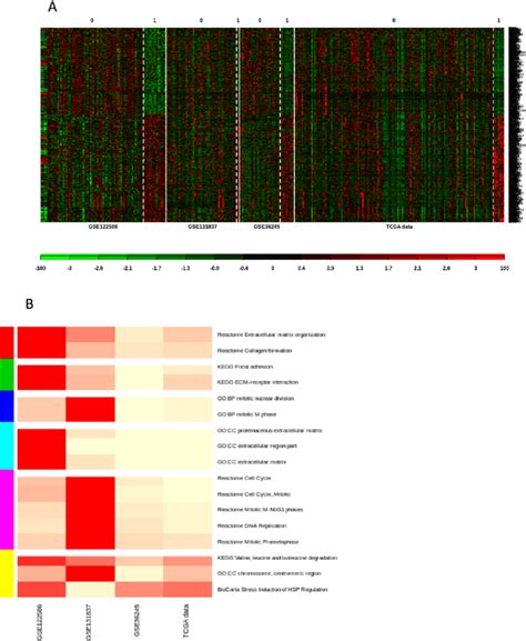 A Hierarchical Clustering Heat Map Of 1054 Degs From Wild Type Idh1