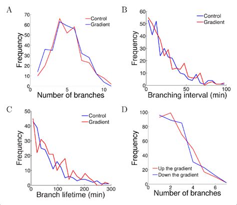 The Gradient Did Not Affect Branch Extension And Retraction Rates A